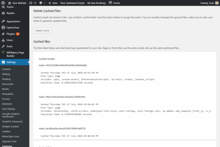 Optimize Scripts & Styles for WordPress - Seismic Pixels
